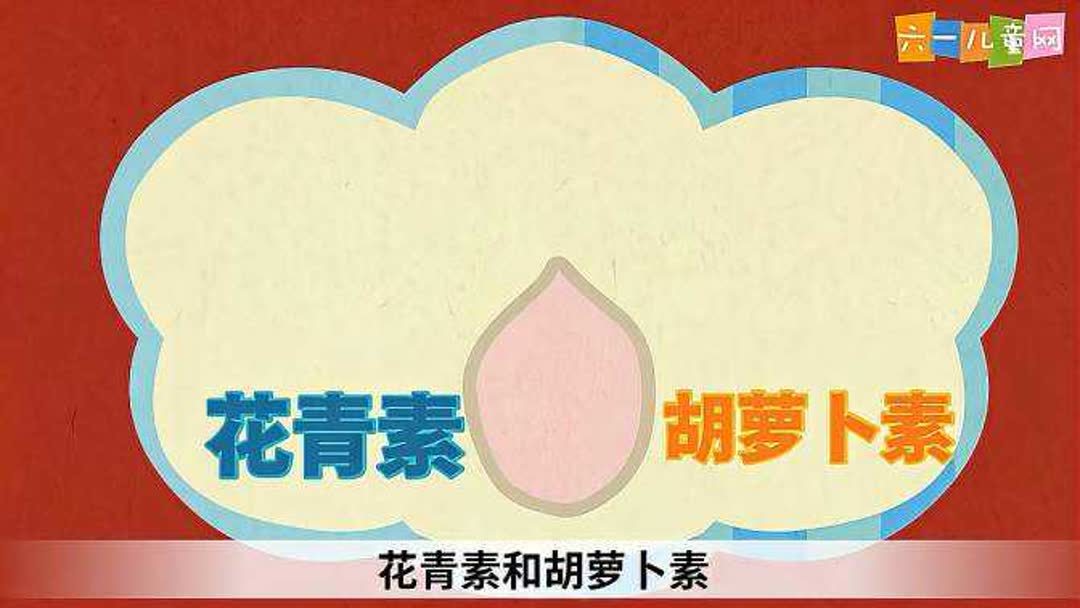 嘟拉:花为什么没有黑色的,花园里的花五颜六色,争相开放真好看