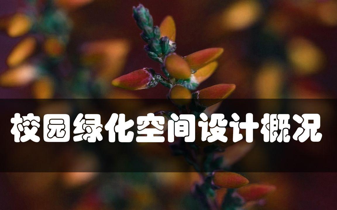 校园绿化空间设计概况