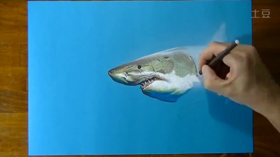这么可爱的小鲨鱼竟然是画出来的!太真实了!