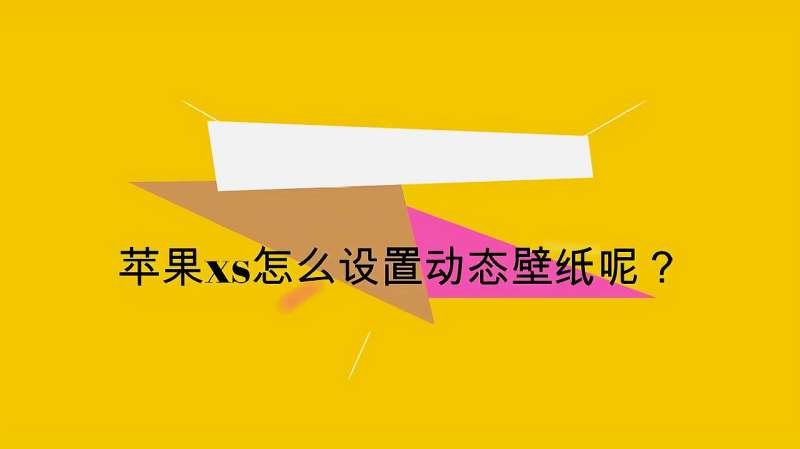 生活小知识,苹果xs怎么设置动态壁纸呢,来学习一下