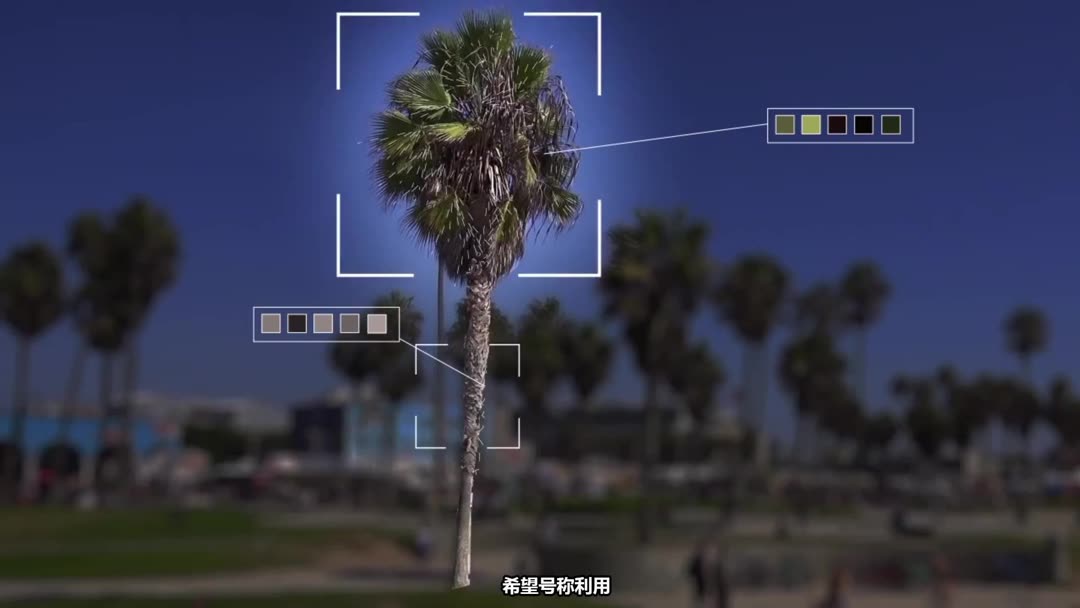 随手一拍,让你认识全球25万种植物,人工智能深度学习APP