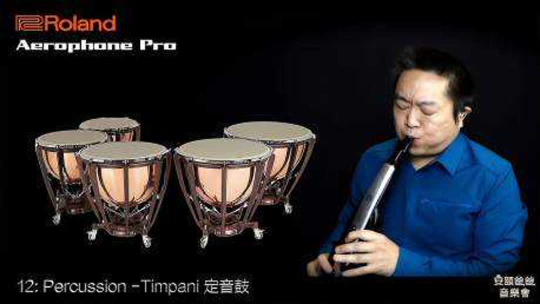 定音鼓 罗兰电吹管 AE30 音色测试