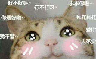 【声控】当猛男对你使用了撒娇八连