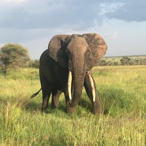 迎着朝阳吃泡面 