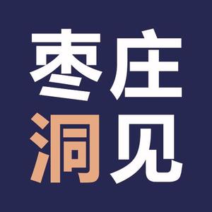 枣庄洞见 