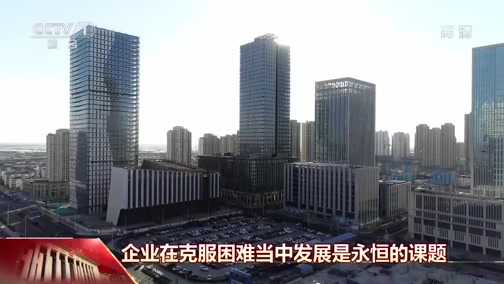 ...政协十三届三次会议·委员声音 哲理性的回答 给企业树立更大信心