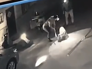 【浙江】丧心病狂!两男子按住别人家的猫咪 放狗把猫活活咬死