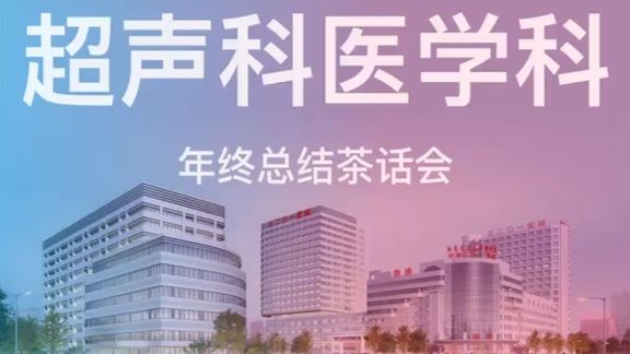 三二〇一医院超声医学科年终总结茶话会