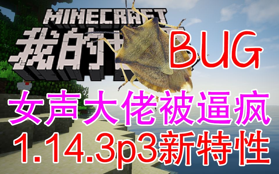 女声大佬被bug逼疯-Minecraft1.14.3.p3特性更新-我的世界