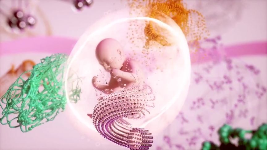 色彩与动态线条之美