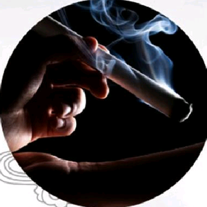 醒时捕光睡时逐梦 