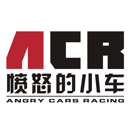 AngryCarsRacing 
