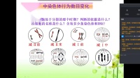 减数分裂和受精作用(第二课时)-水木年华