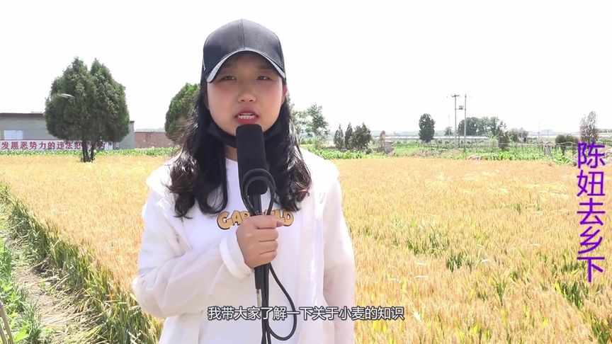 陈妞去乡下:今天去地里看看麦子的生长情况