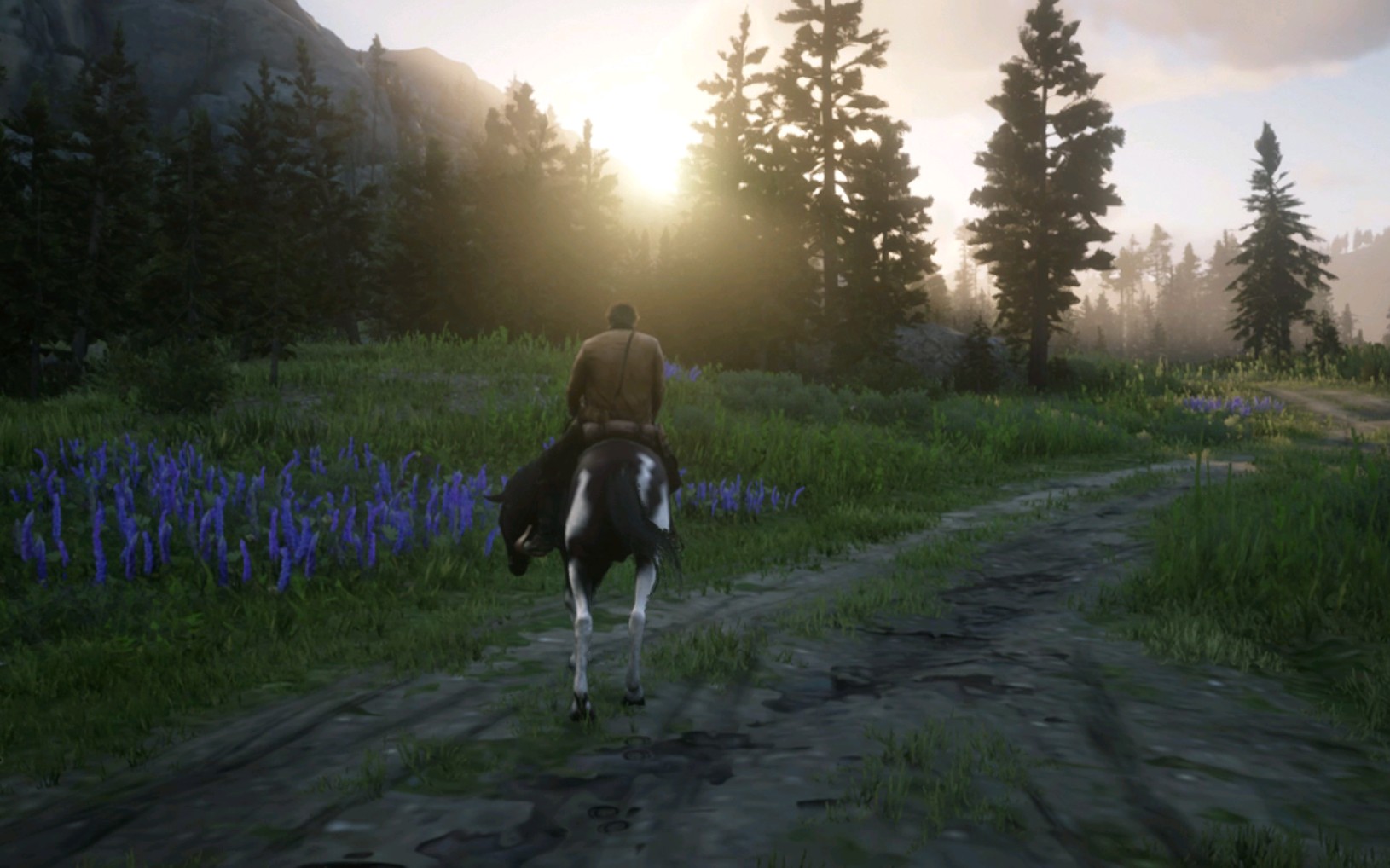 荒野大镖客2中等特效画质