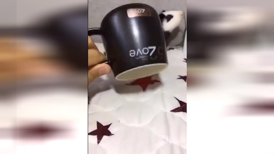 牛人用硬纸板做手枪,能装子弹能上膛发射