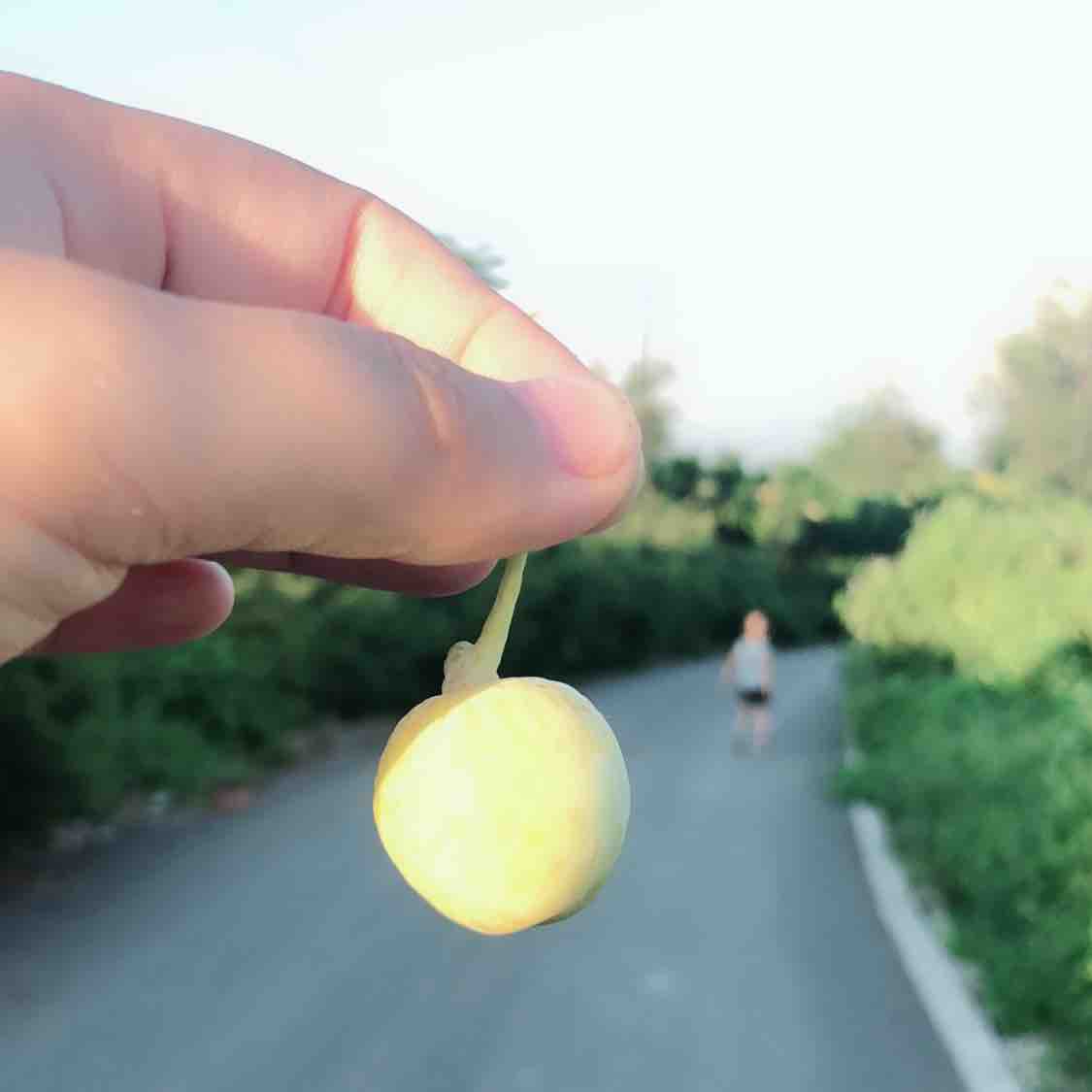 欢乐动漫人 