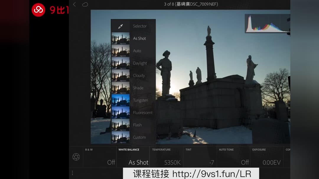 Lightroom教程:基本调整 白平衡