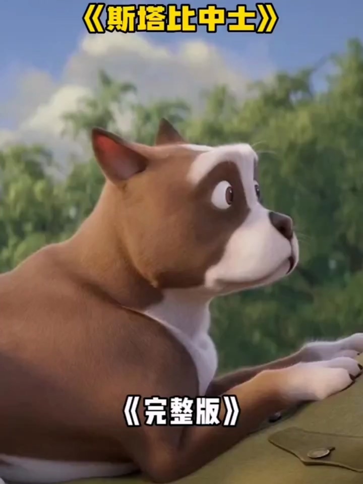 军衔最高的狗狗,动画电影