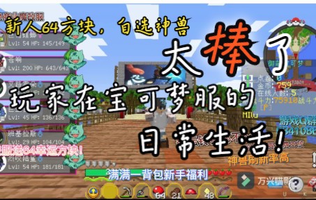 玩家在宝可梦服务器的日常生活,太好玩了QWQ!福利好又良心的服务器...