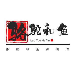 骆驼和鱼 