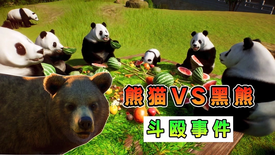 动物园之星03:国宝熊猫VS大黑熊,把这两混养,会发生斗殴事件吗