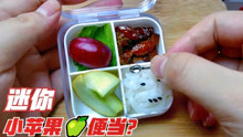 迷你厨房:小小的迷你便当,今天吃黄焖鸡?味道好赞!