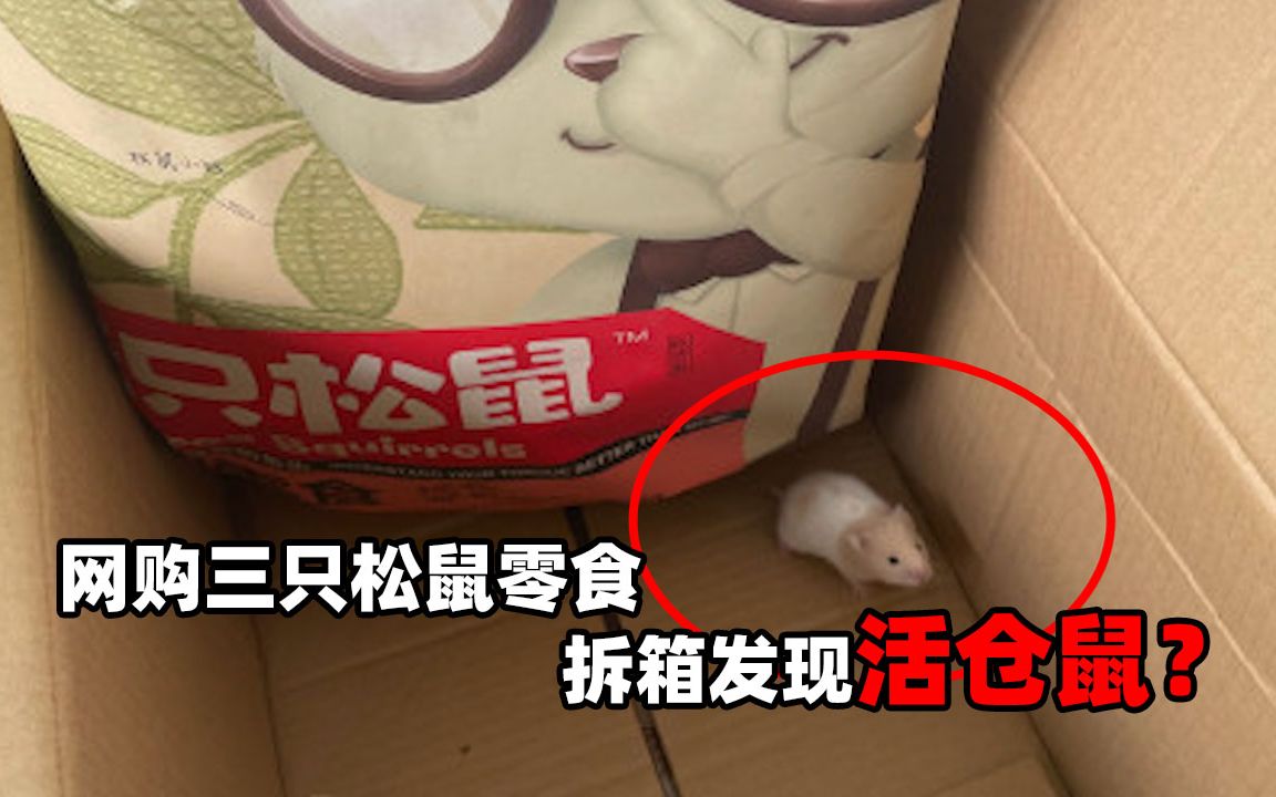 小伙网购三只松鼠拆箱发现活仓鼠!收货吓到不敢吃,商家回应