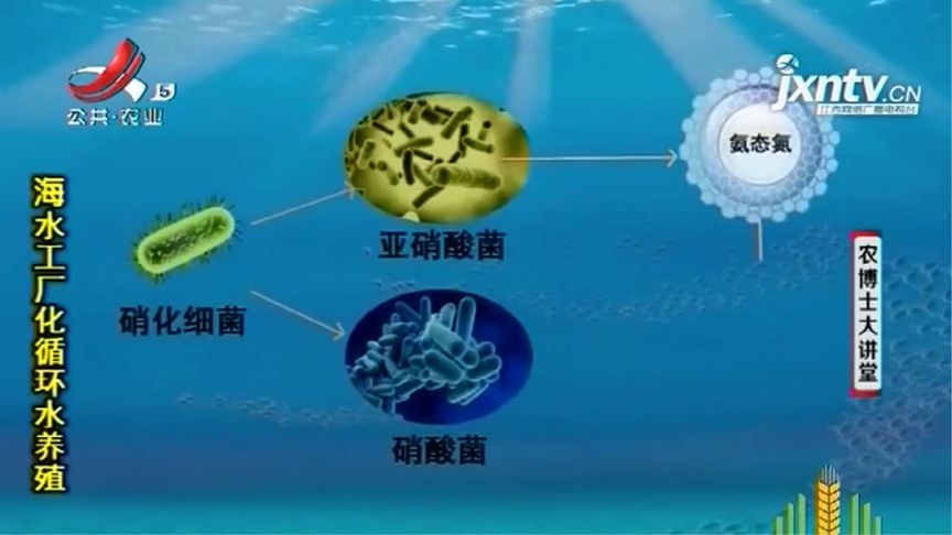 臭氧在极不稳定状态下,会还原成氧气,强烈氧化反应能杀菌
