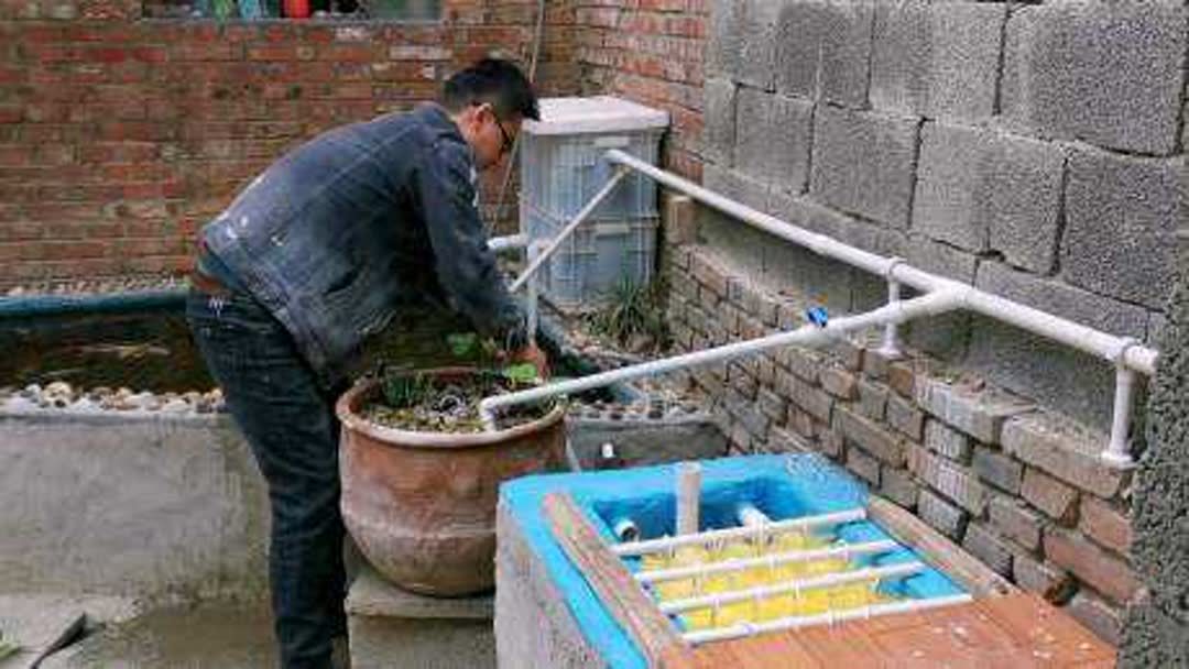 鱼池过滤系统改造,不需要打眼的虹吸过水,鱼友朋友可以了解一下