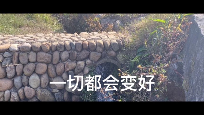 秋天的稻田,特别适合拍照