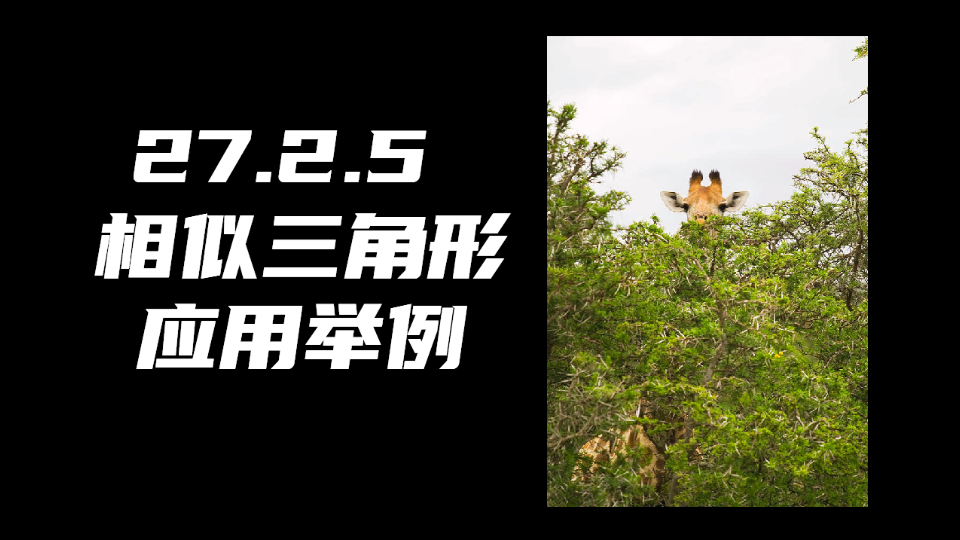 初中数学初三9年级 27.2.5 相似三角形应用举例