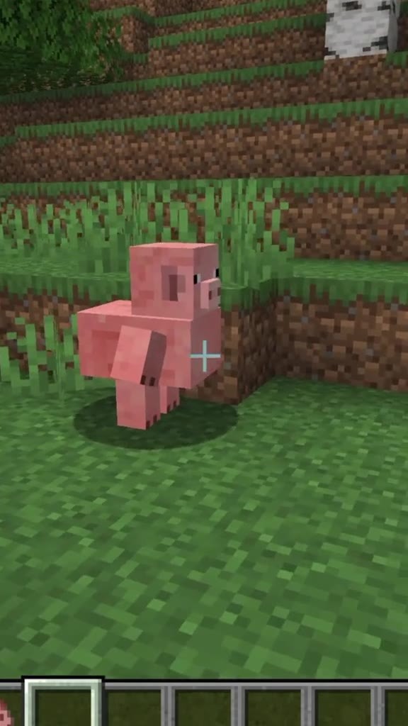 我的世界:我自己做的模组好看吗