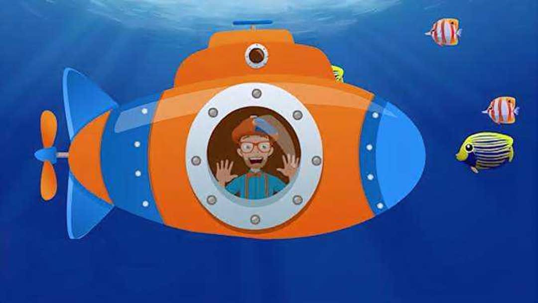 参观海底世界认识可爱的海洋小动物