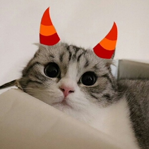 桀骜不驯小猛兽 