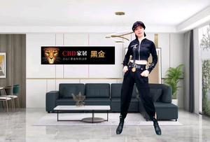 倾风轻舞广场舞 