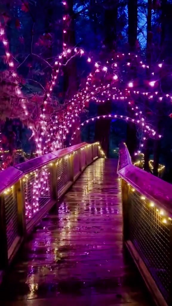 灯火阑珊 #治愈系风景 #森林氧吧 #唯美意境 #视觉震撼 #最美夜景