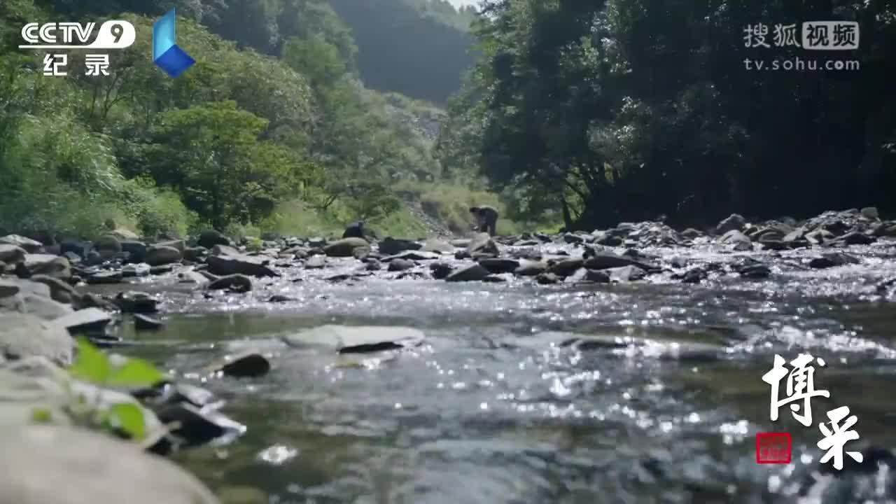《中国文房四宝》第一集 博采