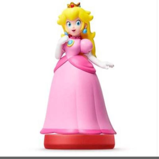 睿学班篮球队长 