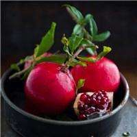 急急忙忙打游戏 