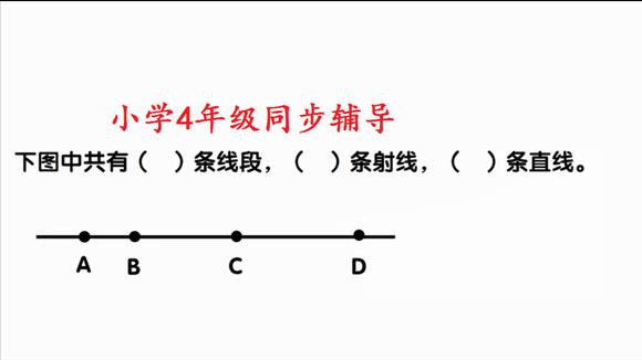 小学四年级同步辅导,图中有几条线段、射线和直线