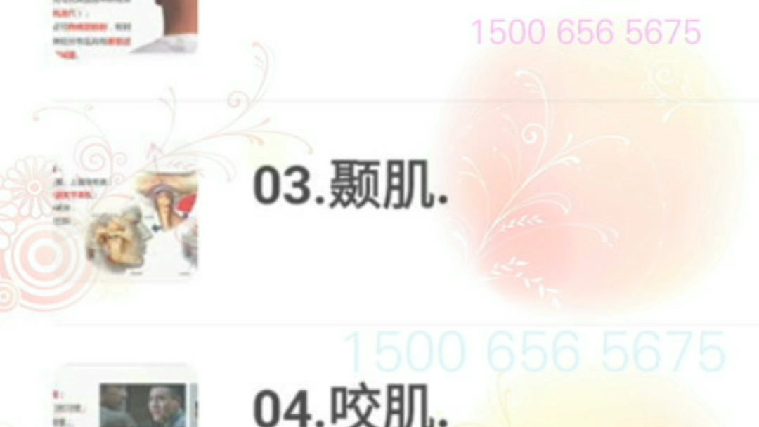 中医推拿 人体全身 肌肉解剖学 腹肌康复 训练手法技术 基础理论