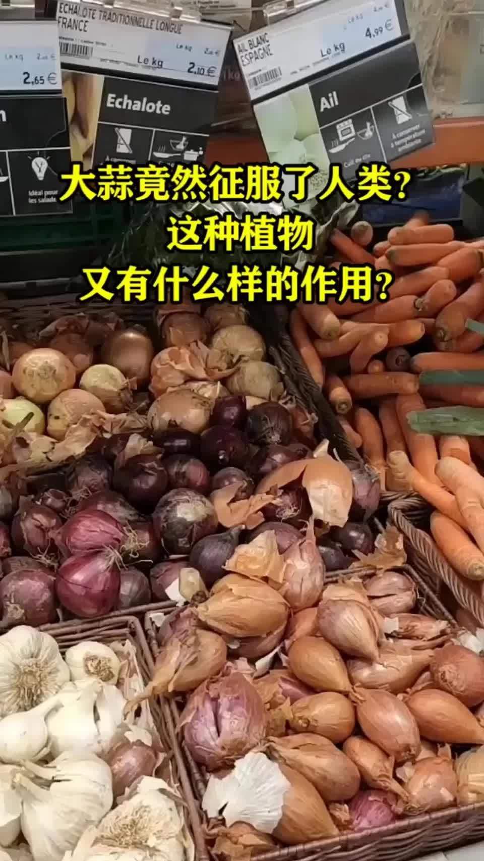 大蒜竟然征服了人类?这种植物又有什么样的作用?