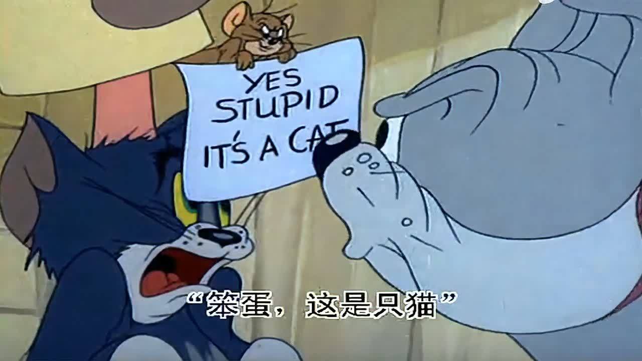猫和老鼠:惹了狗狗的猫咪,狗狗挖地三尺,也得把猫咪找出来