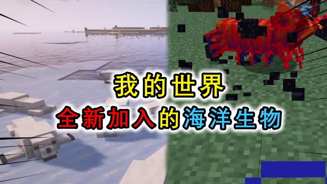 MC加入更多海洋生物,里面不仅有让人疼恨的海豹,还有强悍的虎鲸