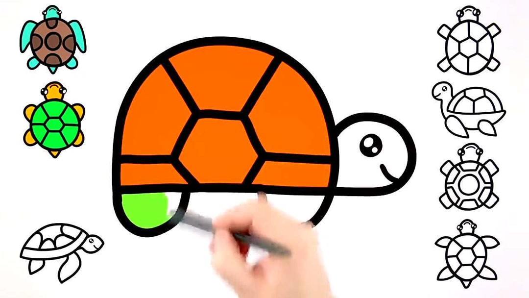 趣味简笔画,绘制8只可爱的小乌龟并着色,是不是很有意思