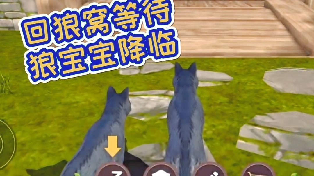 好开心 要迎接我们的狼宝宝了 狼模拟器游戏