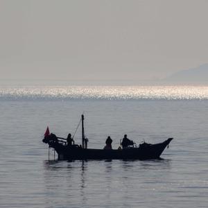 安逸的安易 