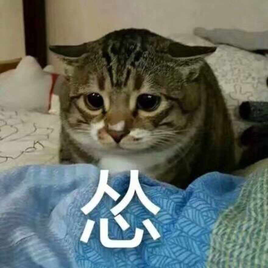 邪恶化身阿婆杀手zZ 