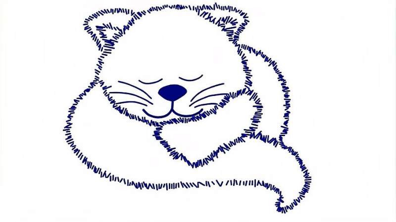 1台电脑2个软件玩转简笔画小视频——爱睡觉的小猫